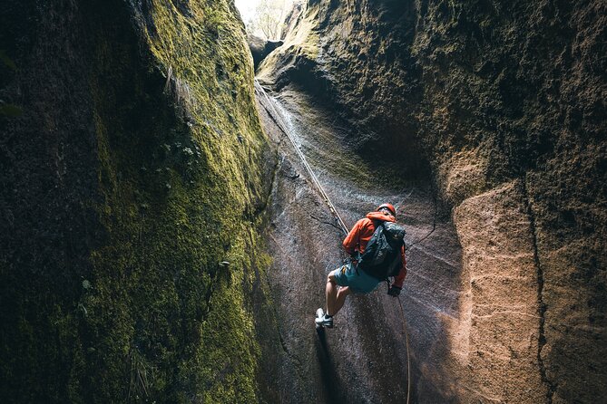 Small-Group Half-Day Canyoning in La Orotava - Testimonials and Feedback From Participants