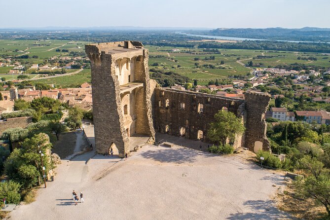 Small Group Marseille Shore Excursion : Avignon & Chateauneuf Du Pape Wine Tour - Exploring the UNESCO-Listed Avignon