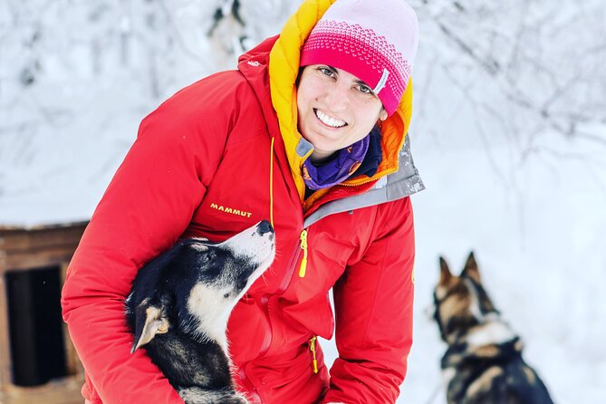 Small Group Wilderness Husky Sledding Review - Interacting With the Friendly Huskies