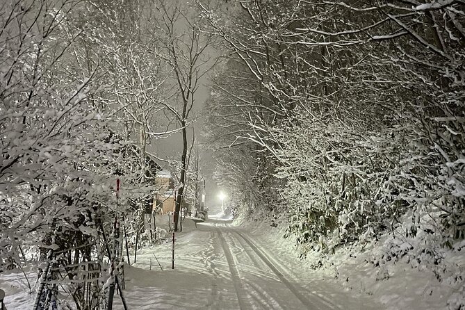 Snowshoeing and Onsen Adventures in a Winter Wonderland -Sapporo. - Accessibility and Recommendations