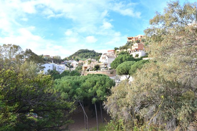 Spanish Civil War Private Walking Tour in Malaga - How to Book Your Spot: Reservation and Payment Information