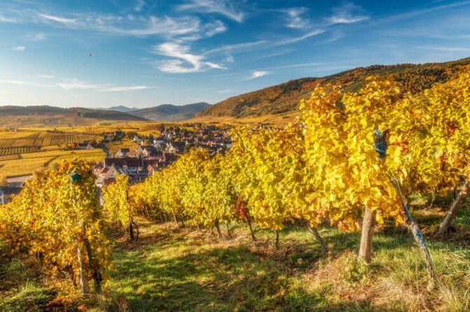 Strasbourg, Colmar, Eguisheim, Riquewihr: Private Excursion - Tips for Seamless Travel and Dining in Alsace