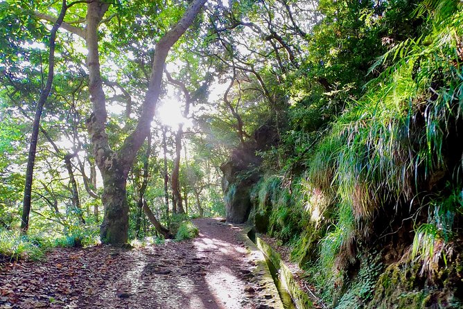 Sunrise Tour @ Pico Do Areiro | Half Day 4x4 Tour - Traveler Reviews and Feedback