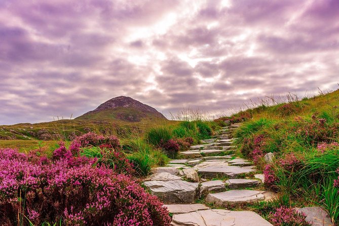 Sustainable Connemara and Galway Bay Rail Tour From Dublin - Understanding Tour Inclusions and Exclusions