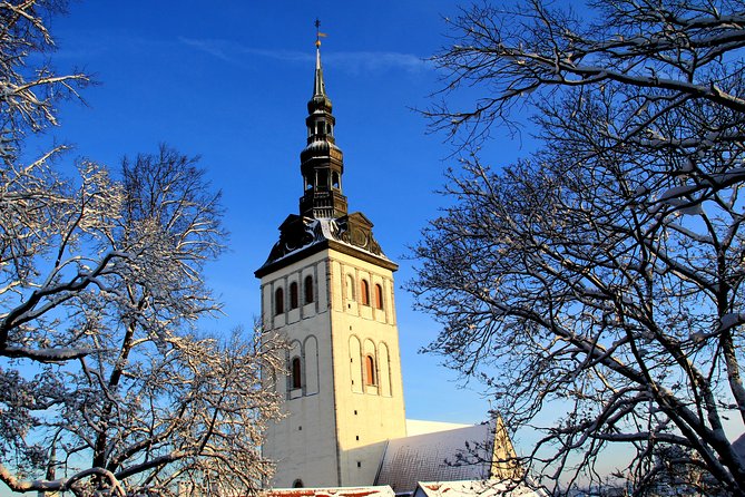 Tallinn City Private Tour - Tallinn Song Festival Grounds