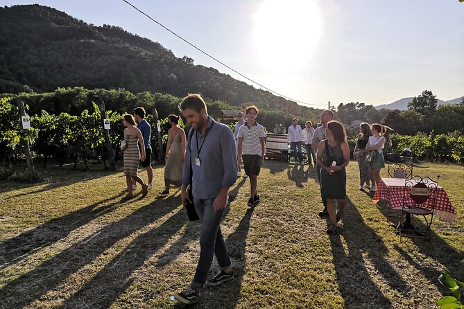 Tasting in a Tuscan Vineyard: Review - Authentic Tuscan Wine and Food Pairings