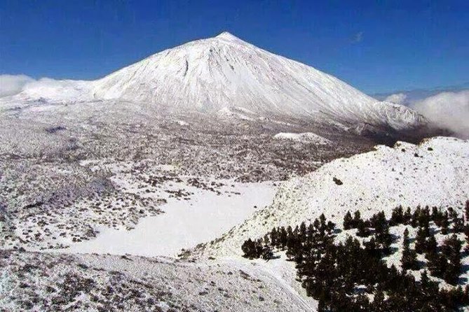Teide-Icod-Garachico-Masca (Most Popular Bus Tour in Tenerife) - Customer Experiences
