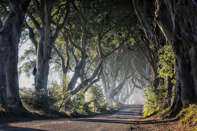 Titanic Experience and Giants Causeway Tour From Belfast - Discovering the Giants Causeway