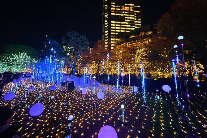 Tokyo: 2-Hour Night Bike Tour of the Citys Hidden Gems - Exploring Tokyos Hidden Gems by Bike