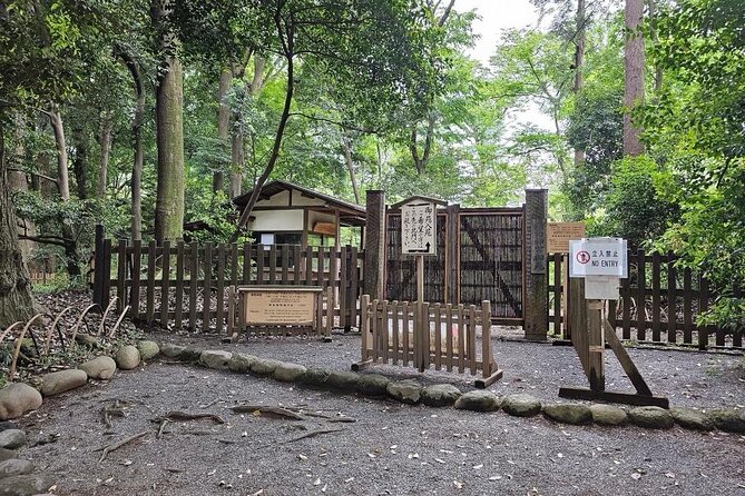 Tokyo Cherry Blossom Private One Day Tour - Making the Most of Your Time in Tokyo