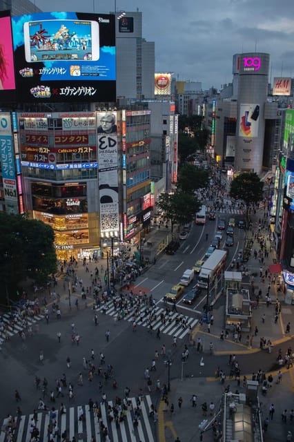 Tokyo City Full Day Private Tour - Transportation and Accessibility