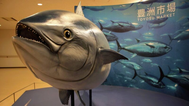 Tokyo: Food and Culture Private Guided Tour - Exploring Tsukiji Fish Market