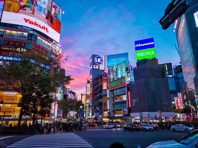 Tokyo: Full Day Private Tour With an English Speaking Driver - Customer Review