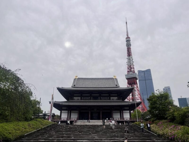 Tokyo Highlights Tour: Sumo, Sushi, Tea, and Tokyo Tower - Accessibility and Meeting Information