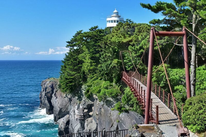 Tokyo: Izu Scenic Train &Kawazu Cherry Blossom & HotelPickup - Customer Feedback