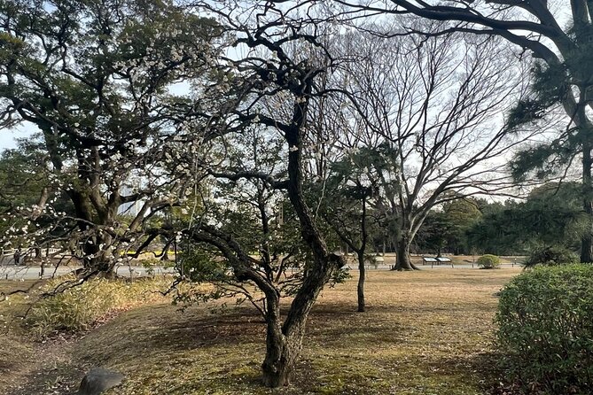 Tokyo: Japanese Garden Walking Tour With Tea and Sweets - Experiencing Matcha and Japanese Sweets