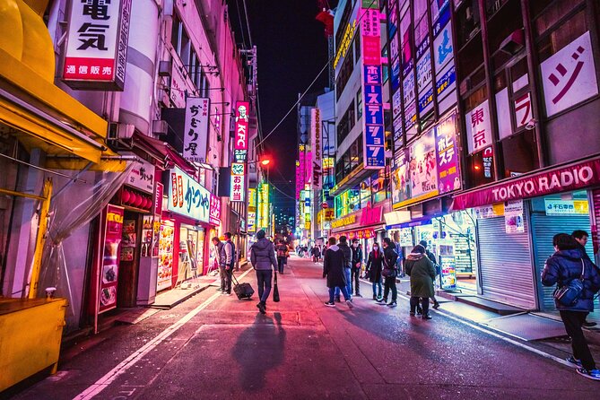 Tokyo Like a Local: Customized Private Tour - Accessibility and Additional Information