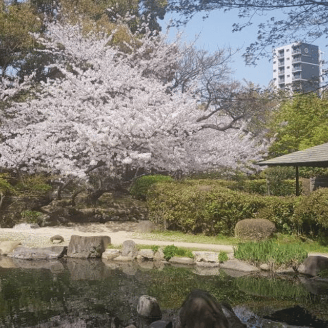 Tokyo: Luxury Tokyo Private City Tour In Luxury Land Cruiser - Pricing and Booking
