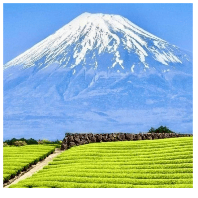 Tokyo: Mount Fuji & Hakone Tour By English Speaking Guide - Discovering Hakone