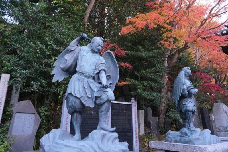 Tokyo: Mount Takao Guided Hiking Tour - Exploring the Natural Wonders of Mount Takao