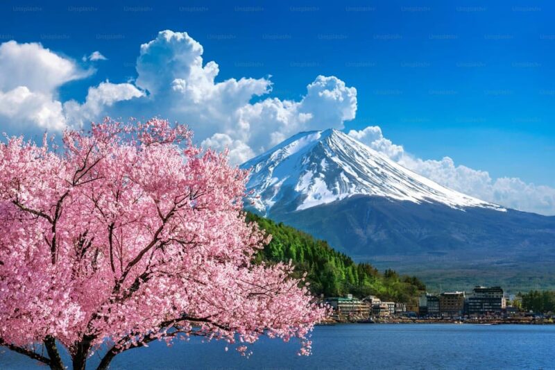 Tokyo: Mt. Fuji and Hakone Day Trip With Lake Ashinoko - Hakone Shrine and Lake Ashi