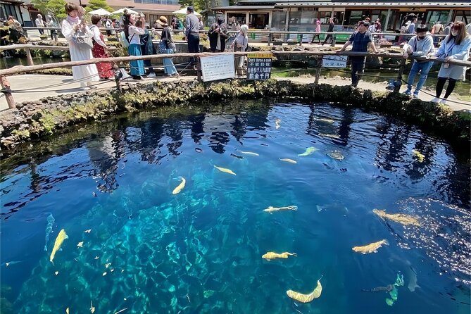 Tokyo: Mt.Fuji Area, Oshino Hakkai & Kawaguchi Lake Day Trip - Highlights of the Day Trip