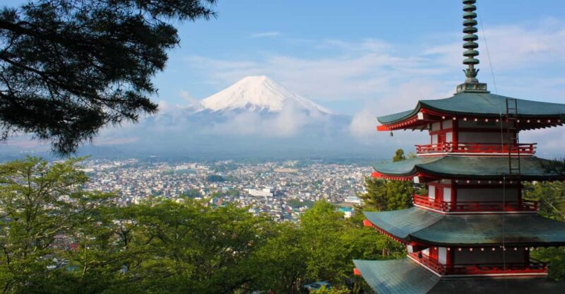 Tokyo: Mt Fuji & Hakone Private Tour English-Speaking Driver - Customizing Your Tour
