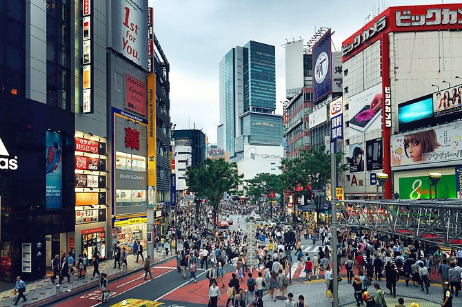 Tokyo Private Customizable Full Day Tour - Memorable Experiences With a Private Guide