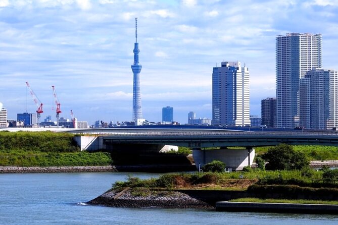 Tokyo Private Guided Tour With Hotel Pickup and Drop off - What to Expect
