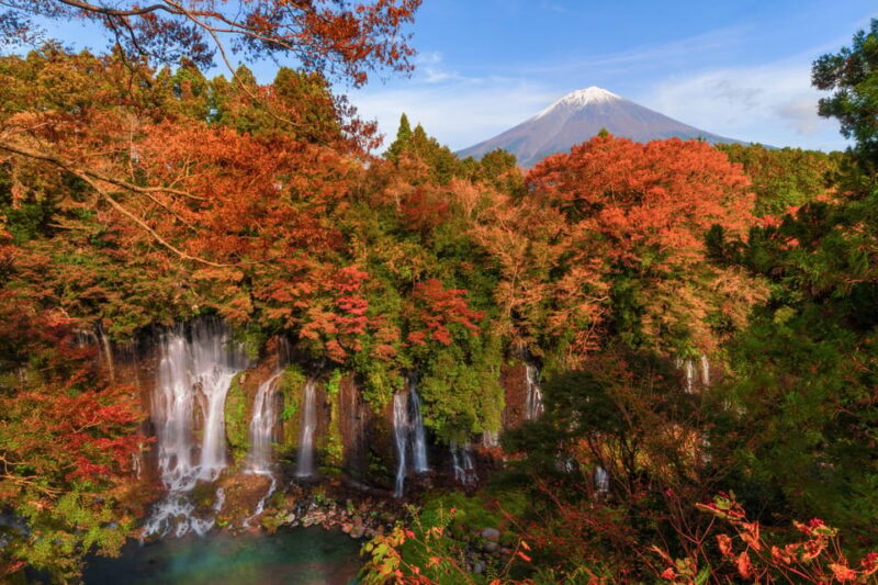 Tokyo: Private Motorcycle Day Trip to Fuji and Hakone: Onsen - Optional Museum Visits: Enriching Cultural Experiences