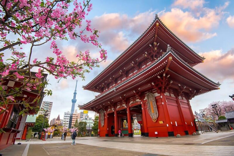 Tokyo Private Sightseeing Tour W/English Speaking Driver - Discovering Tsukiji Fish Market