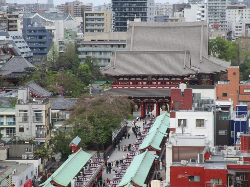 Tokyo Private Tour To-and-From Tokyo, Yokohama up to 12 - Shopping for Souvenirs