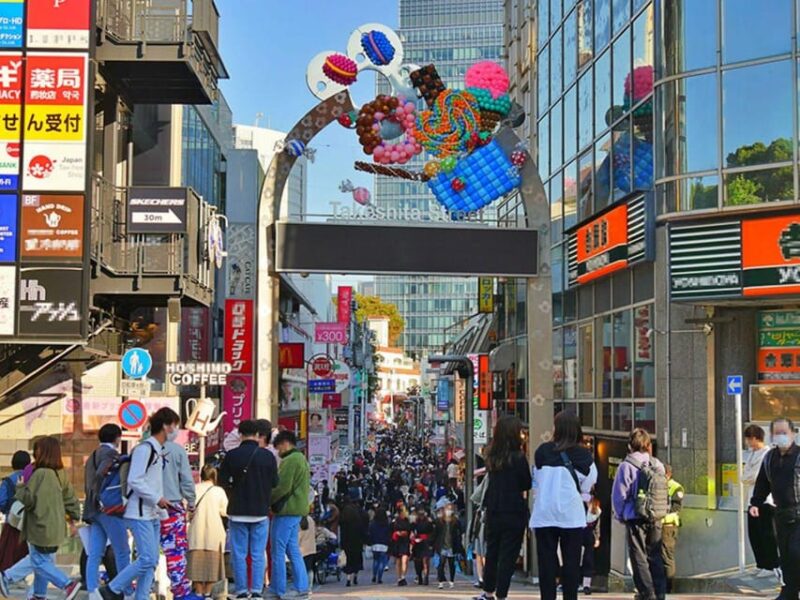 Tokyo Private Tour With English Pro Guide by Luxary Vehivle - Convenience of Personalized Attention