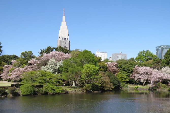 Tokyo Self-Guided Audio Tour - Customer Feedback