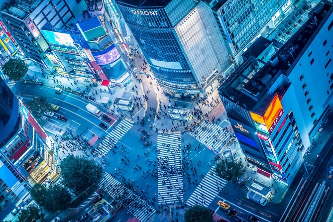 Tokyo Shibuya Crossing Walking Tour - Traveler Feedback and Host Responses