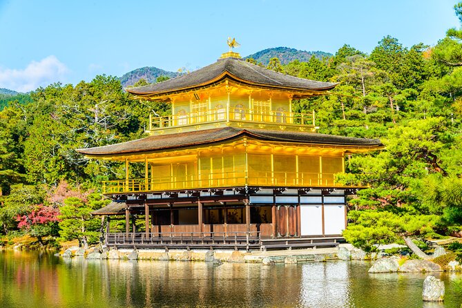 Tokyo to Kyoto 1-Full Day Private Guided Tour - Tour Recommendations and Considerations