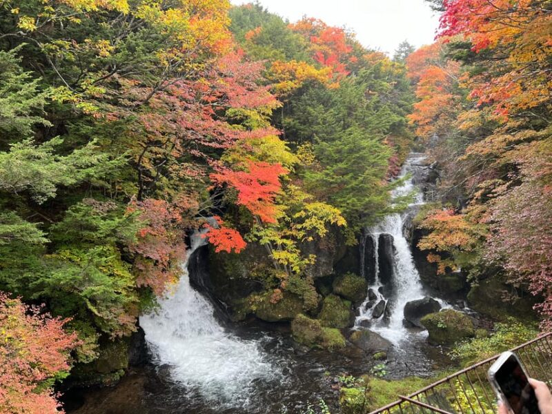 Tokyo to Nikko World Heritage Day Tour With English Guide - Frequently Asked Questions