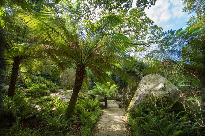 Tour to Sintra - Roca Cape - Cascais - Discovering the Enchanting Sintra