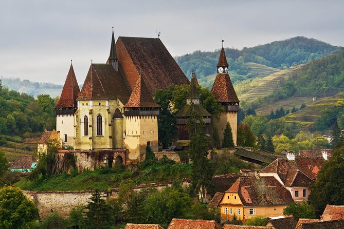Transylvania Gems: Sighisoara, Medias, Biertan & Gypsy Encounter - Encounter With the Nomadic Gypsy Community