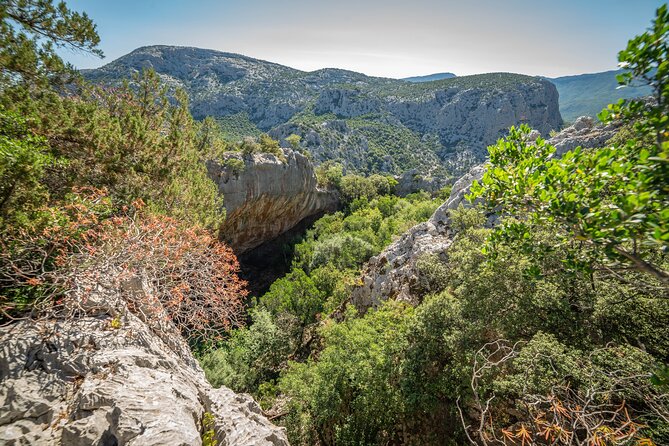 Trekking to Monte Tiscali - Oliena - Customer Feedback and Experiences