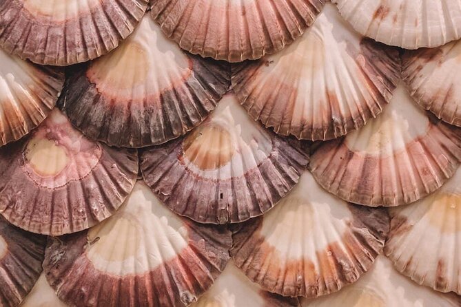 Unique Experience: Complete Tour of Rías Baixas and Isla Da Toxa - Catamaran Cruise and Unlimited Mussels