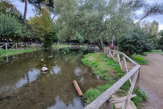 Urban Hike to the Aqueduct Park in Rome - Traveler Experiences and Feedback