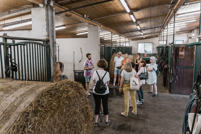 Vienna Horse-drawn Carriage Guided Tour - Pricing and How to Book Your Carriage Experience