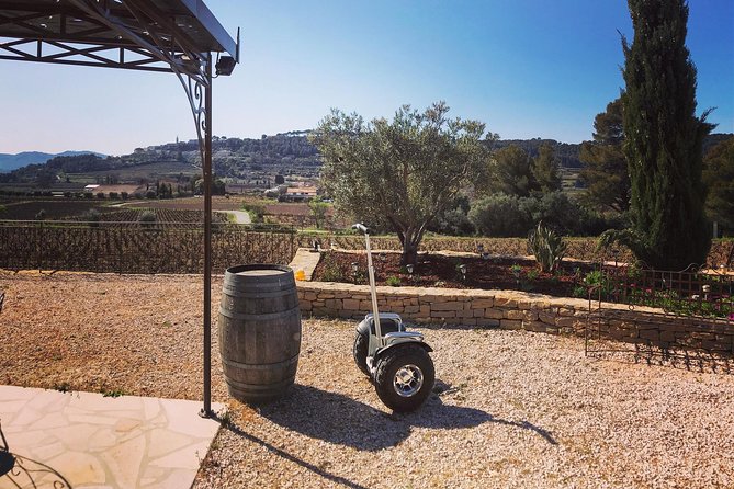 Vineyard Visit in Gyropod, Visit of Cave & Tasting Wines of Bandol - What Travelers Are Saying