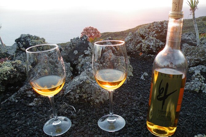 Visit Bodegas Teneguía Winery in La Palma With Wine Tasting - Accessibility and Convenience for Visitors