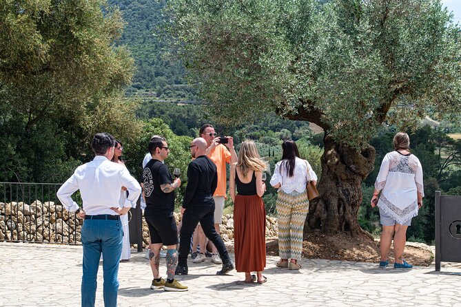 Visit the Finca and Olive Grove, Extra Virgin Olive Oil Tasting and Snack - Enjoying Local Snacks and Drinks
