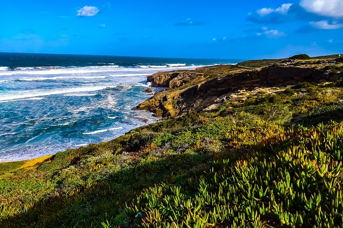 Wild and Wonderful West Coast Full Day Tour - Feedback From Satisfied Travelers