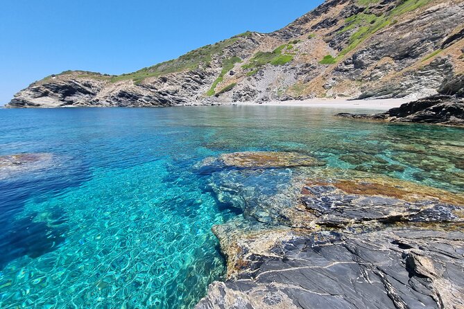 Wild Beaches & Snorkeling Tour - Discovering Local Biodiversity