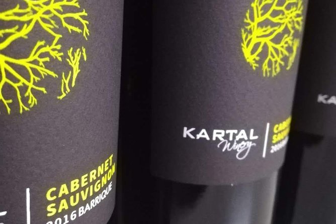 Wine Tasting Tour in Family Winery Kartal in Skopje - Savoring the Local Flavors