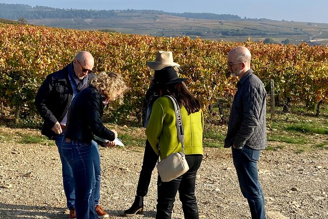 Wine Tour and Tasting in Burgundy - Traveler Reviews and Recommendations